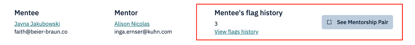 How To: Reviewing and Updating Flags – Mentor Collective