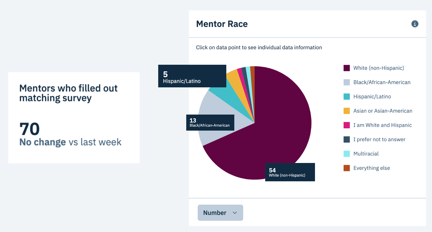 Dashboard Page: Demographics Tab – Mentor Collective